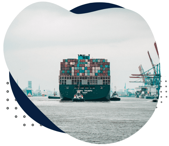 Blockchain (Transparent Supply) - Weexa